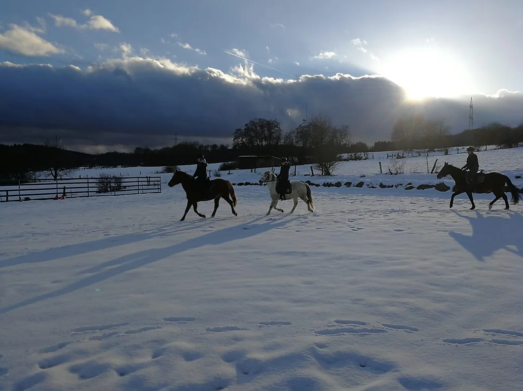 Galerie - Pferdepension Unzeitig
